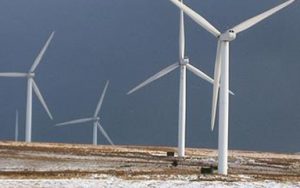 Crystal Rig 1 - TRIG